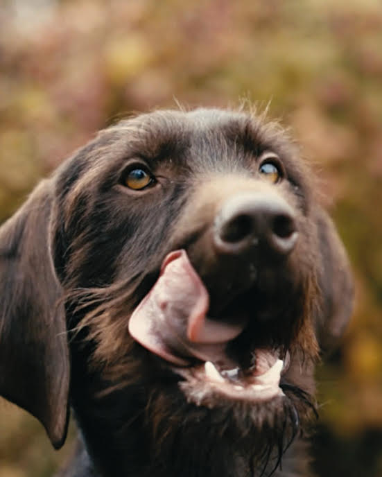 An A-Z introduction to everything we do. – Verm-X